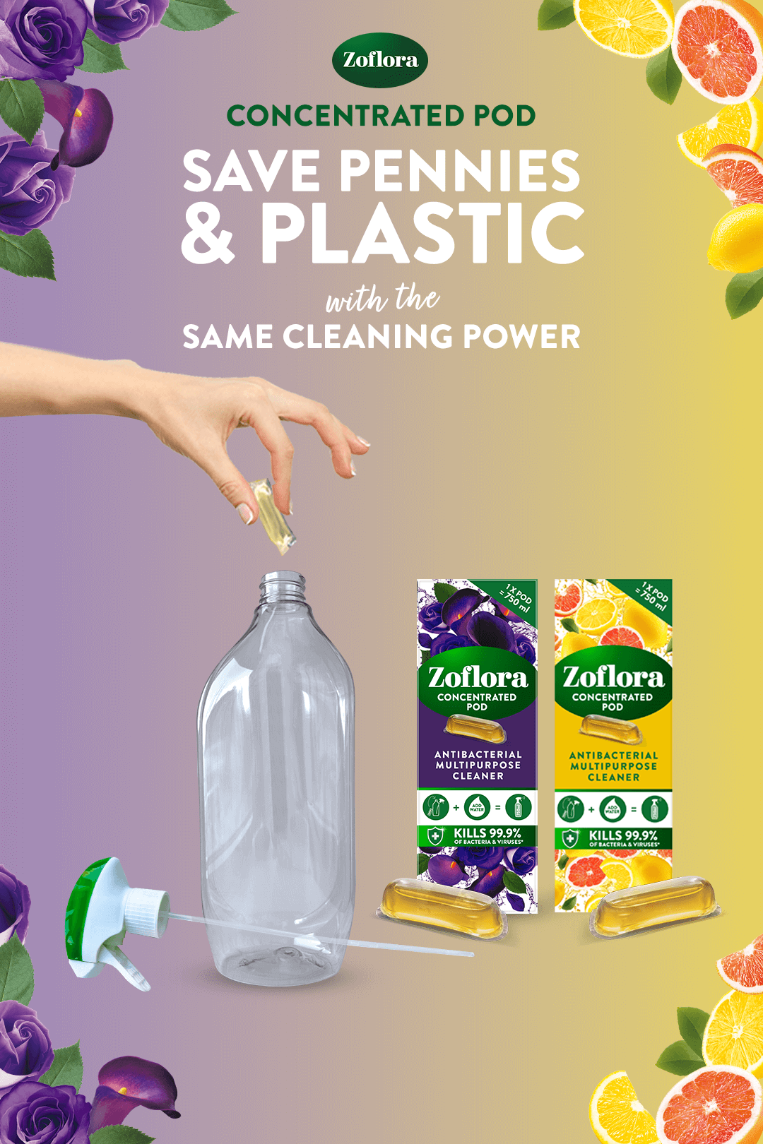 Banner Testing | Zoflora